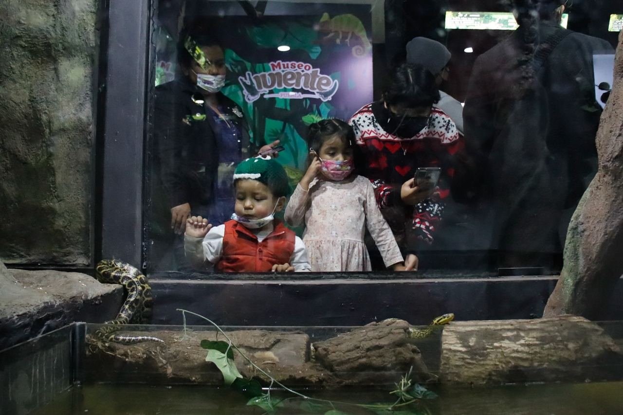 Museo Viviente en Puebla, un plan divertido y accesible | Tendencias Puebla